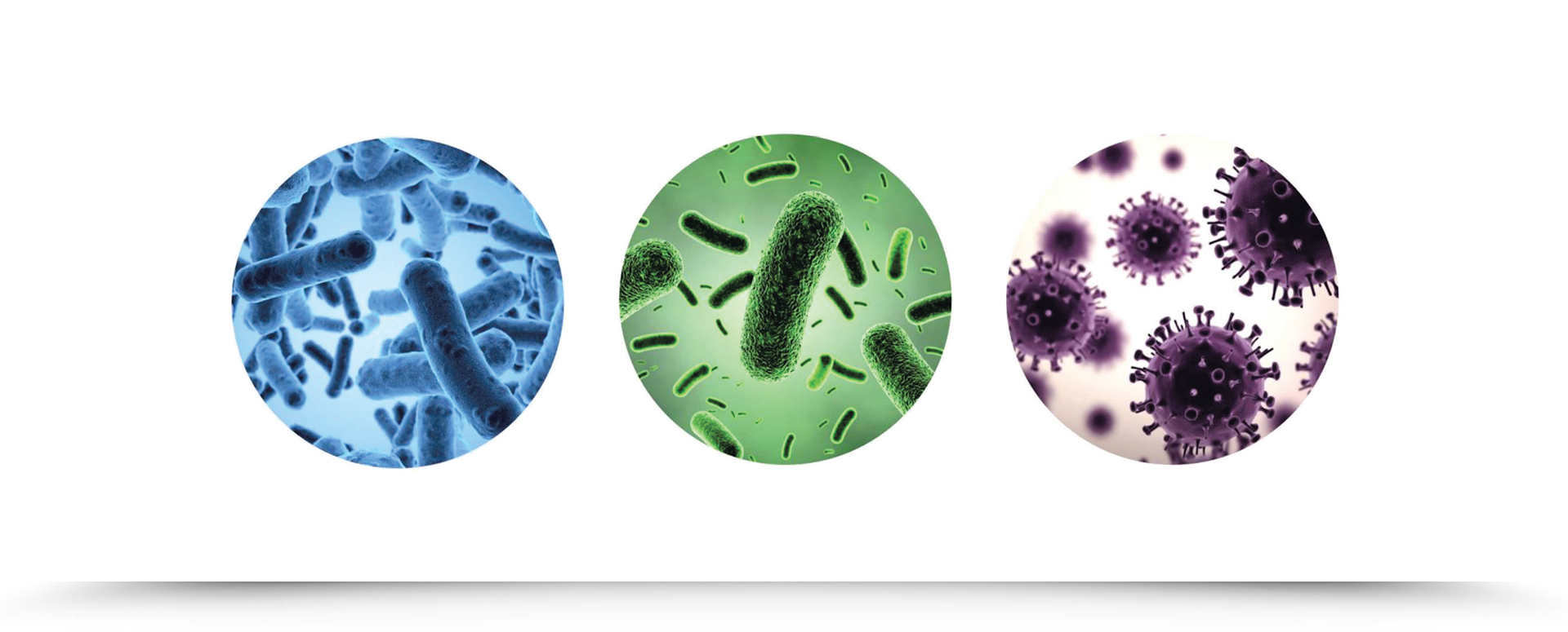 Excerpt: VAPPRO VBCI The Solution for Corrosion Control - Nelson Cheng